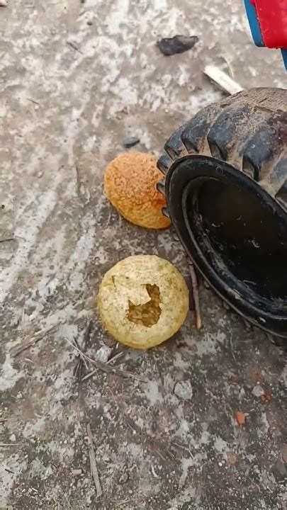 Jcb Neha Tector Bulldozer Jecbt2 ट्रैक्टर लवर Youtube