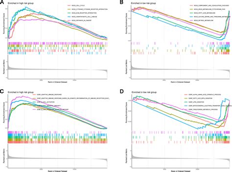 Gsea Analysis A B Go Analysis Results C D Kegg Analysis Results