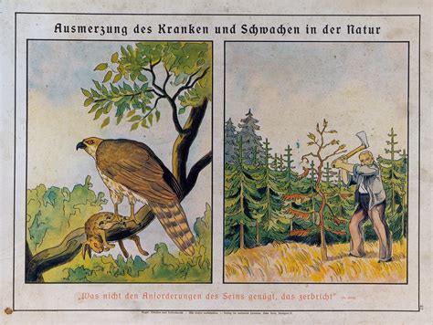 Eugenics Poster State Of Deception The Power Of Nazi Propaganda