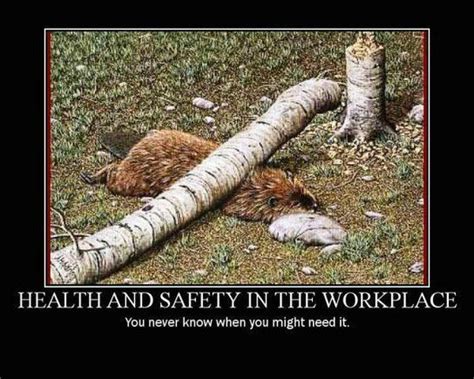 Funny Workplace Safety Quotes Quotesgram