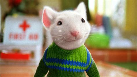 Stuart Little Fans Confused After Realising Hes Not Actually A Mouse