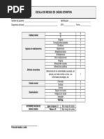 Escala De Riesgo De Caídas Downton Pdf