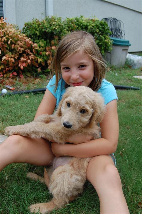 Dsc1176 Kdodson11 Flickr