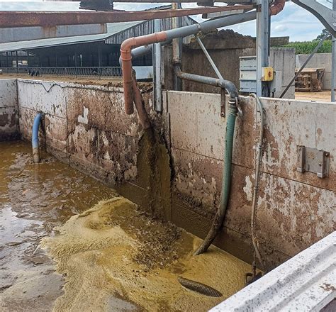 new pump solves sand laden slurry headache at dairy farm farmers guide
