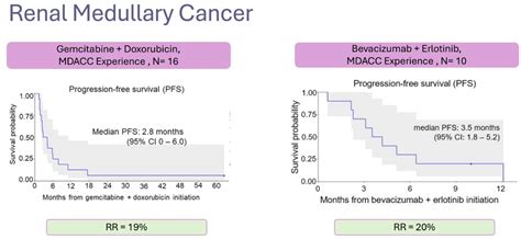 Esmo 2024 Non Clear Cell Rcc