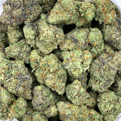 Orange Crush The Herb Centre Orange Crush The Herb Centre