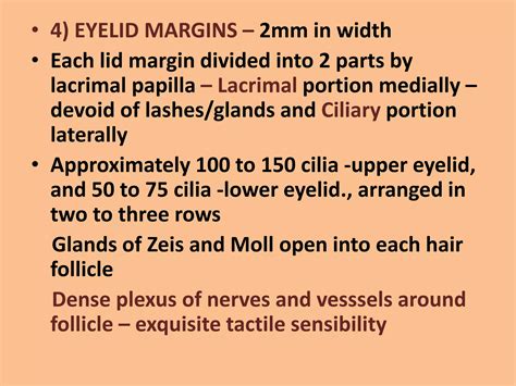 Anatomy Of The Eyelids Pptx