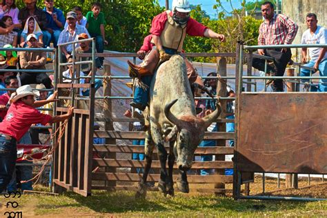 Jaripeo Landscape At Dorothy Lessard Blog