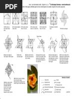 Kawasaki Rose Origami Pdf Origami Teaching Mathematics