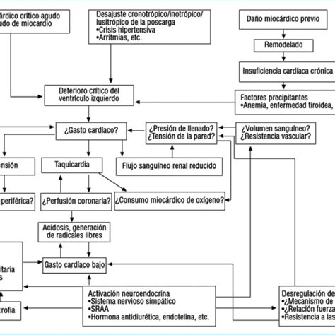 A Ecg Showing A Pseudo Infarct Pattern B Transthoracic Download