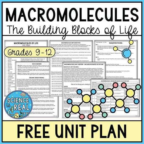 Engaging Macromolecules Lessons For High School Biology Science Is Real Education