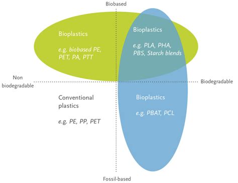 Bioplastics An Overview Circular 3d
