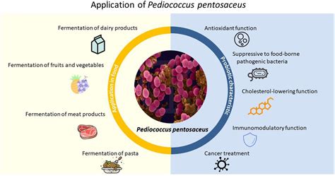Frontiers Pediococcus Pentosaceus Screening And Application As