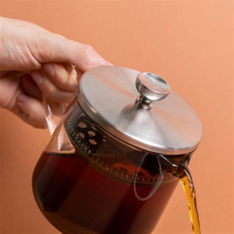 Loose Leaf Glass Teapot 2 Cup