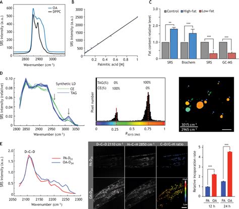 Srs Imaging Of Different Ld Parameters A Representative Srs Spectrum