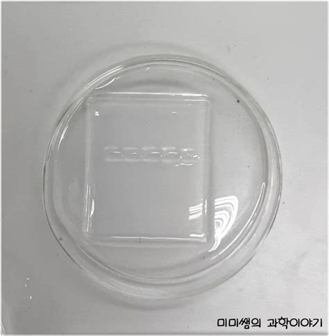 전기영동 실험 준비물 과정 결과 등 네이버 블로그