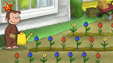 Curious Geroge Games Episodes 1216 Flower Garden Youtube