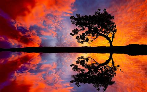 Reflection Wallpapers Top Free Reflection Backgrounds Wallpaperaccess