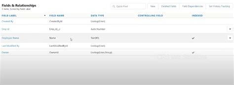 Fields In Salesforce