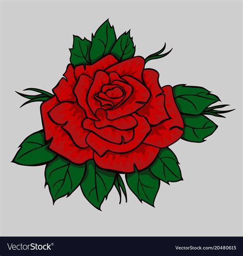 Red Rose With Green Leaves Isolated Flower Vector Image On Vectorstock Red Roses Flowers Green