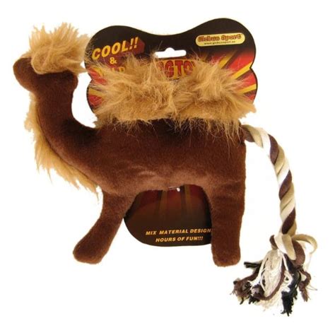 Kameli Lelu Kipittajat