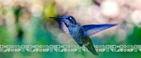 Programme Archive Unea 5 Environment Assembly