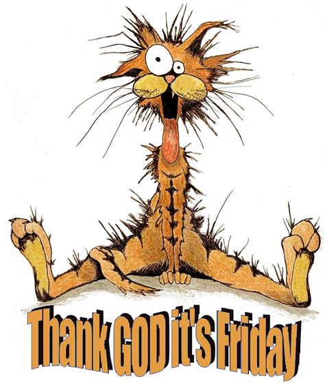 Funny T Cartoons