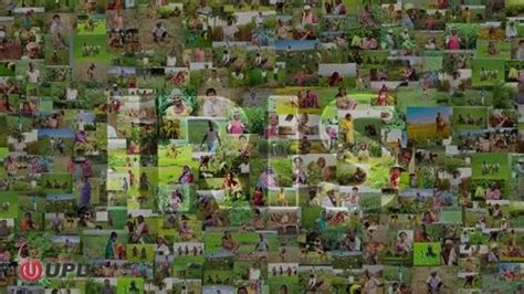 Upl Iris Herbicide Bottle 400g At Best Price In Nashik Id 23542185773