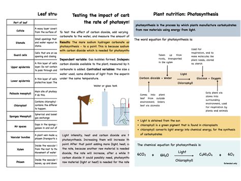 Igcse Biology Cambridge Plant Nutrition Photosynthesis Teaching Resources
