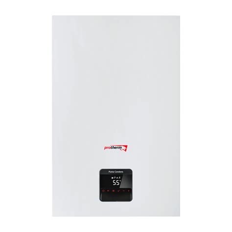 ᐉ Газовый котел Protherm Рысь Lynx Condens 25 MKO купить по цене 46 700 ...