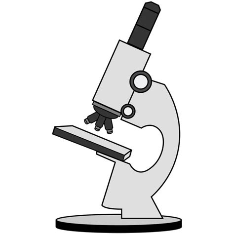 717 Cell Under Simple Microscope Royalty Free Photos And Stock Images