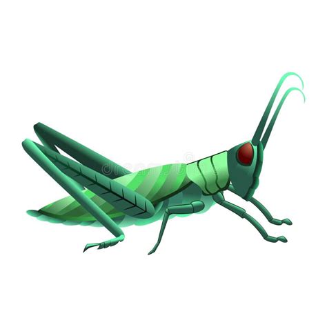Vector Cartoon Grasshopper Character Isolated Illustration Stock Vector