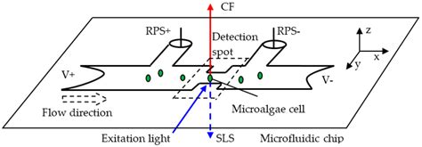Schematic Representation Of The Operation Principle Of Single Download Scientific Diagram