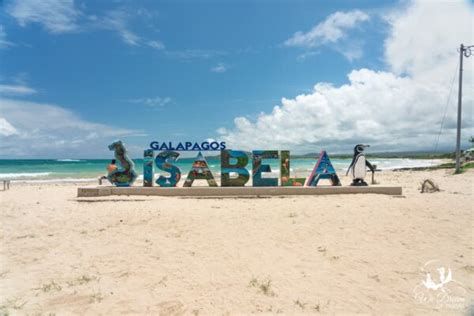 🏝 Isabela Island Galapagos Ultimate Guide For First Visits 2024