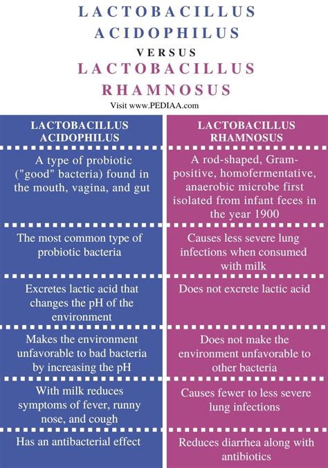 Lactobacillus Acidophilus Vs Probiotics At Jennifer Colbert Blog
