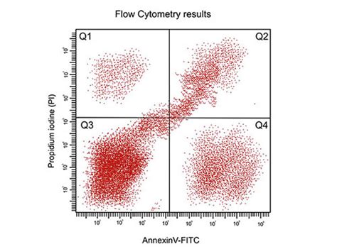 Antibodies For Flow Cytometry Fc Creative Diagnostics