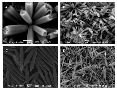 Sensors Special Issue Sensing At The Nano Scale Chemical And Bio Sensing