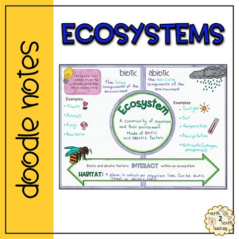 Ecosystem Doodle Notes Doodle Notes Science Lessons Teaching Science