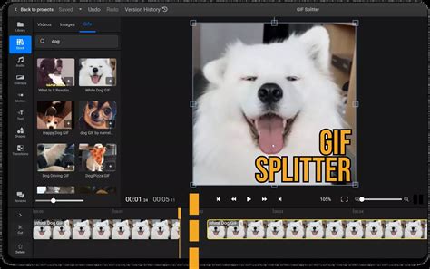  Splitter Split Animated S Online No Install Required Flixier