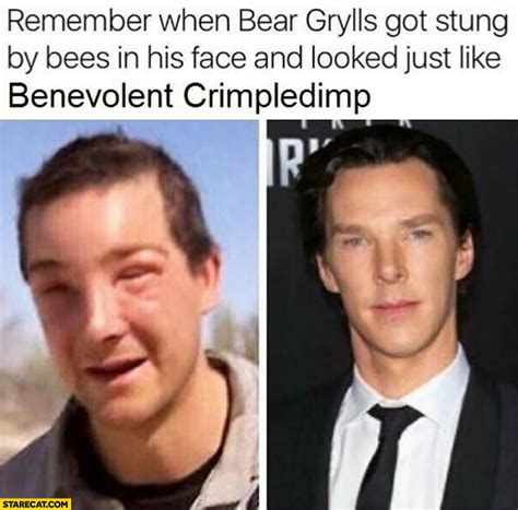 Benedict Cumberbatch Memes