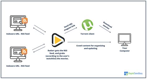 radarr the complete handbook — rapidseedbox