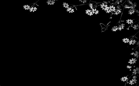 Black And White Flowers Wallpapers Hd Pixelstalknet
