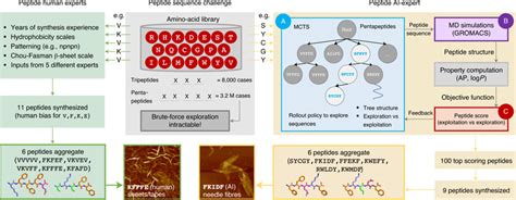 Workflow Adopted To Discover Self Assembling Pentapeptides Using Inputs