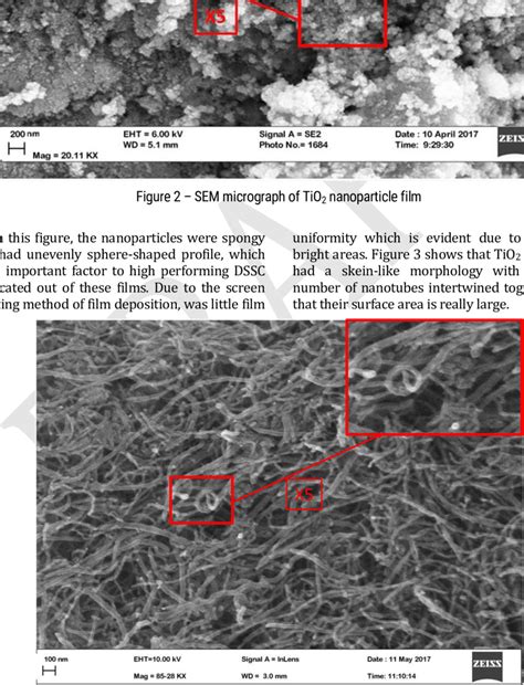 Sem Micrograph Of Tio2 Nanotubes Download Scientific Diagram