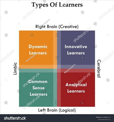 types learners dynamic learner innovative learner stock vector royalty free 2289991577