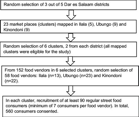 Flow Chart Of The Procedures For The Selection Of Street Food Consumers Download Scientific