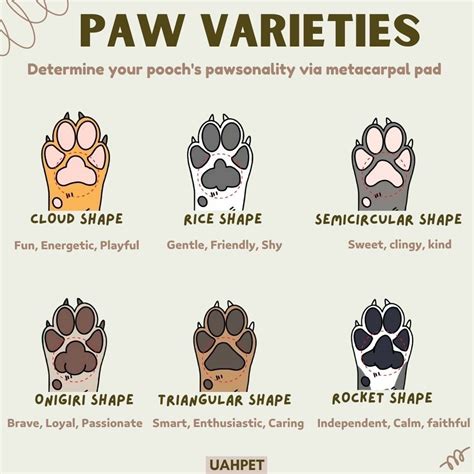 Pin By Cheryl Ln On Pets Pet Hacks Puppy Paws Dog Facts