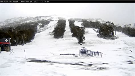 Canned Beetroot Worms Raustralia
