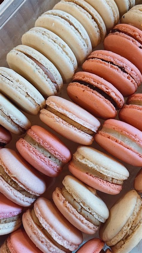 Macarons Aesthetic Wallpapers · 200 Backgrounds 🟡🟢🟠