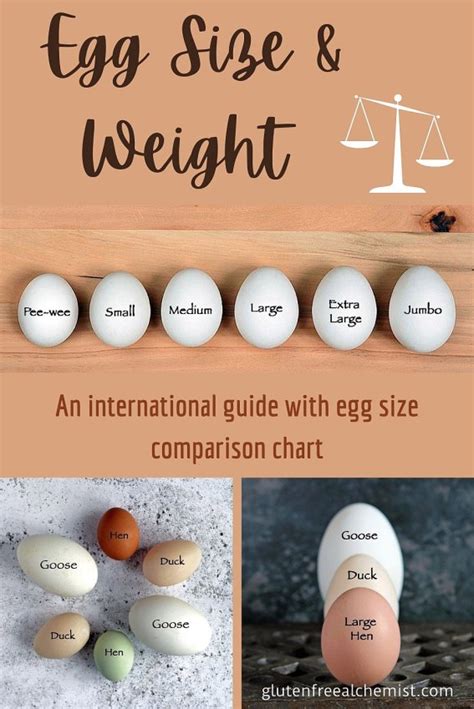 Egg Size And Weight An International Guide With Egg Size Comparison Chart